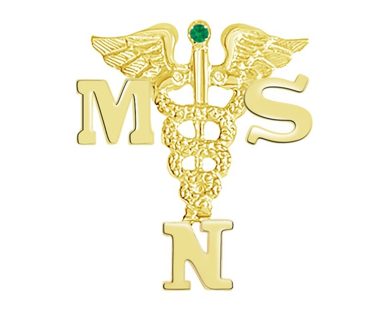 14K Gold MSN Masters in Nursing Science Pin